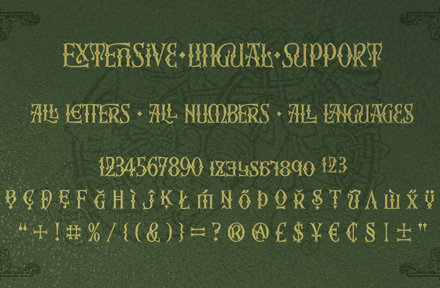 Third Reign – Five Wonderful Fonts! – MasterBundles