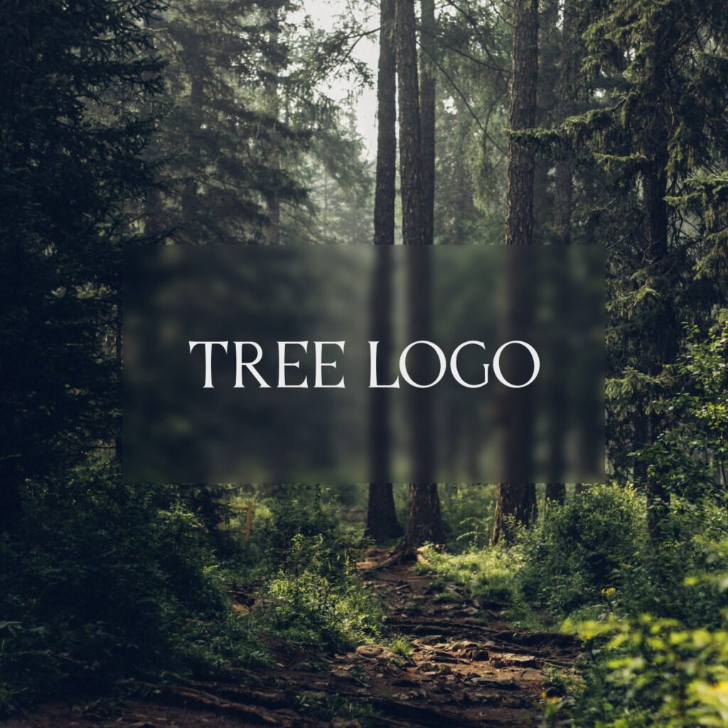 6 Tree Logo Design Templates – MasterBundles