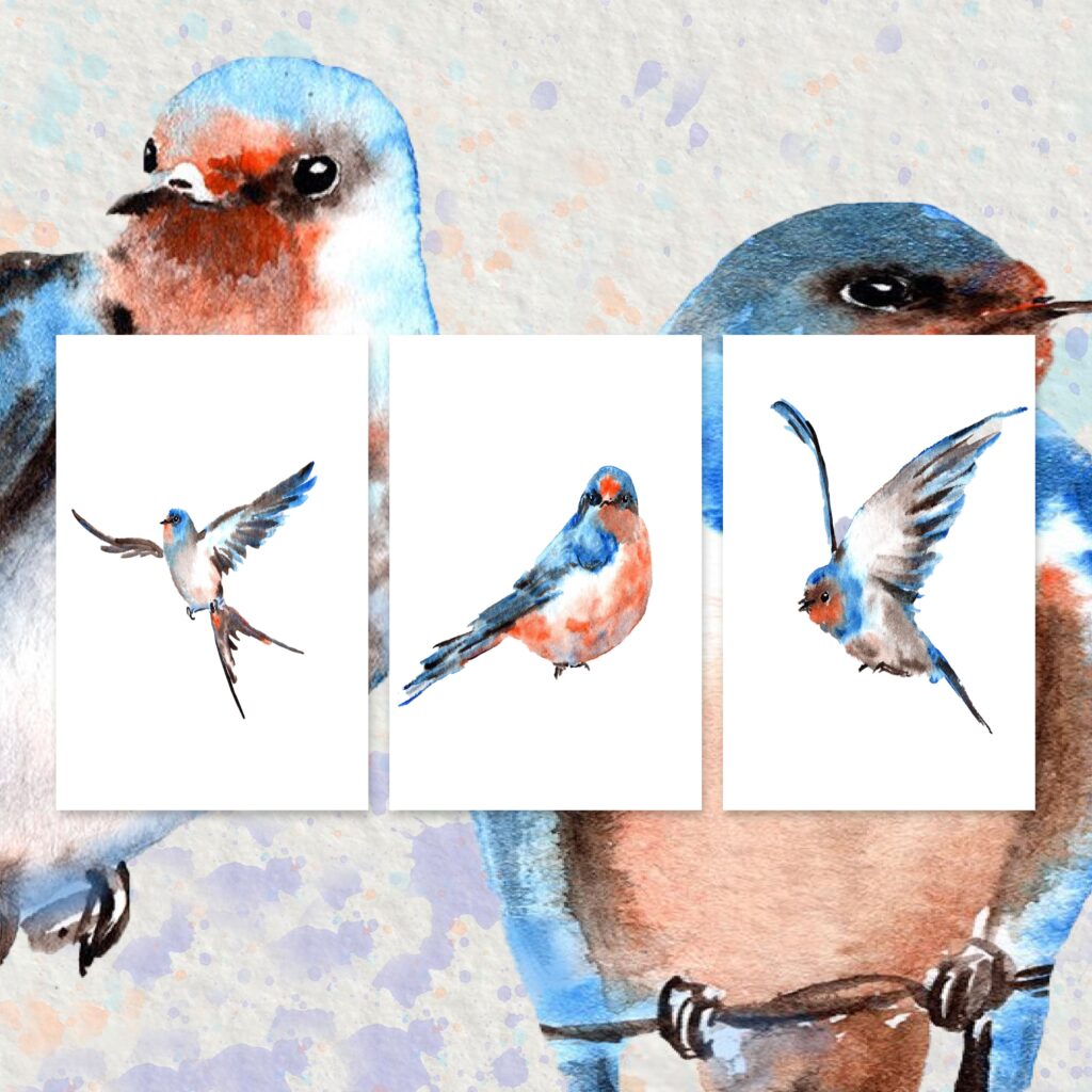 Watercolor Swallow Birds Clip Art Collection – MasterBundles