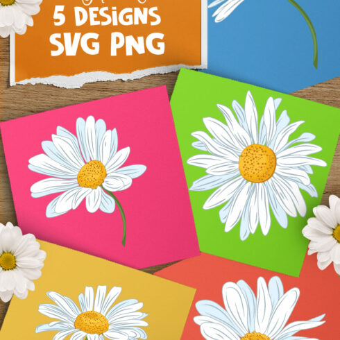 5 White Daisy SVG Designs | Master Bundles
