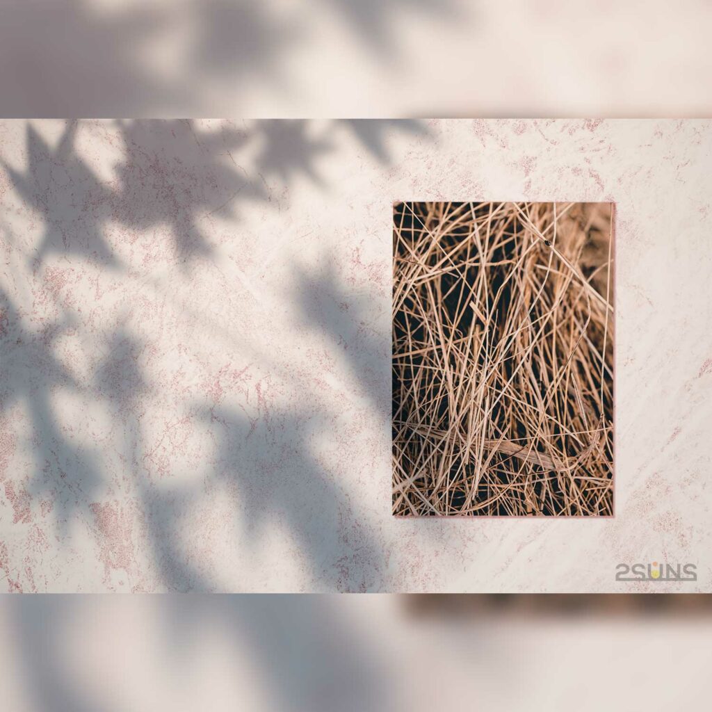 Floral backdrop, Fern overlay, Forest background, Flower overlay, Grass ...