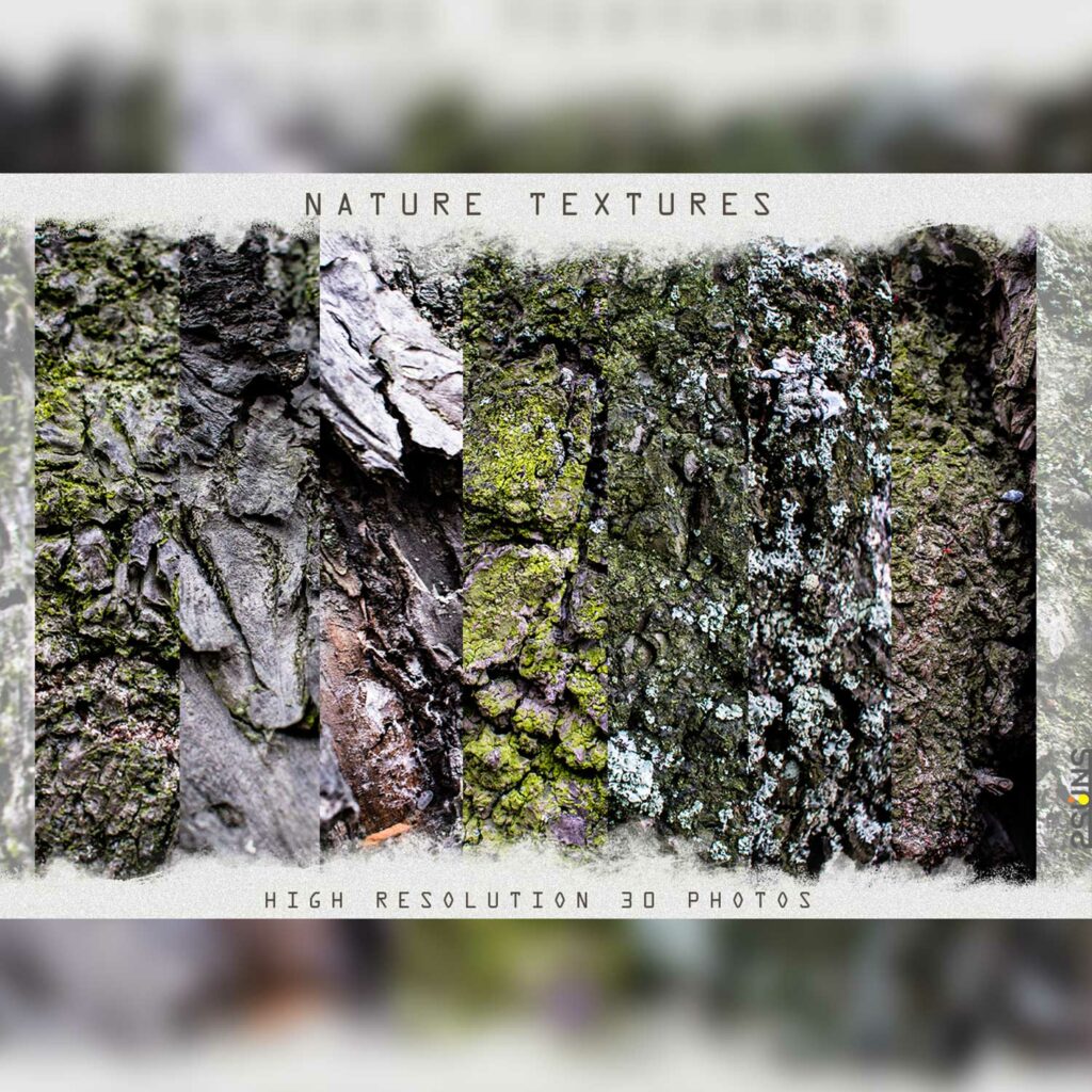 Fern overlay, Tree overlay photoshop, Wood backdrop, Floral digital ...