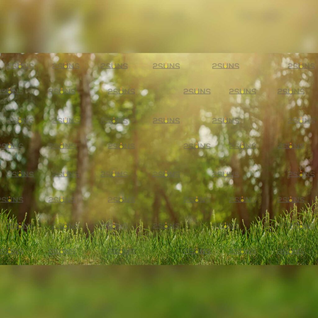 Digital flower backdrop, Flower overlay, Floral backdrop, Spring photo ...