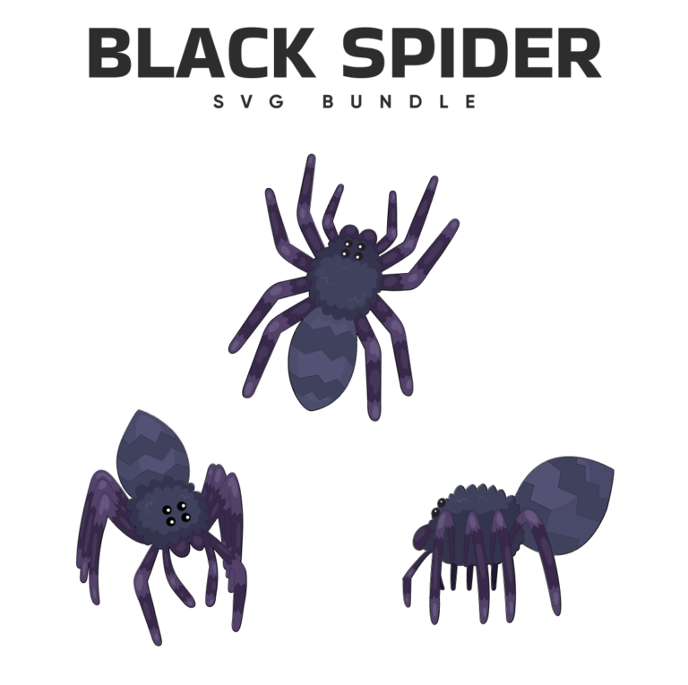 Corner Spider Web SVG – MasterBundles
