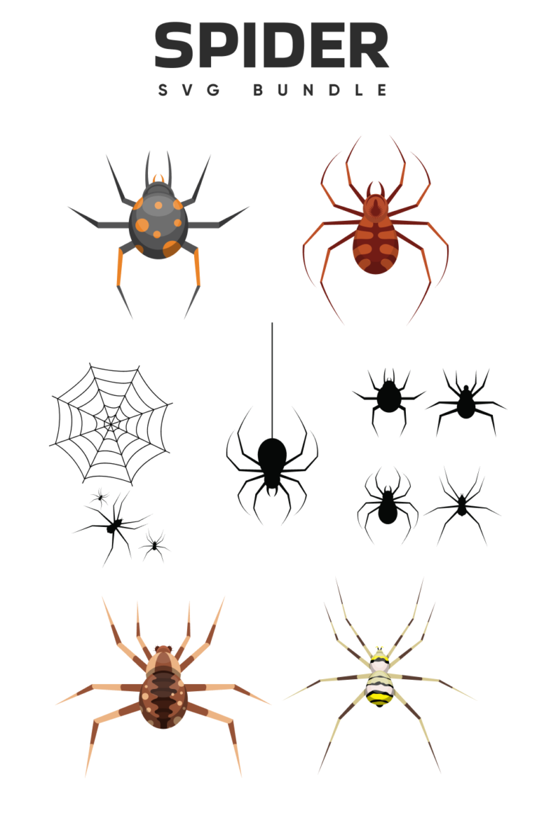 Free Spider SVG – MasterBundles