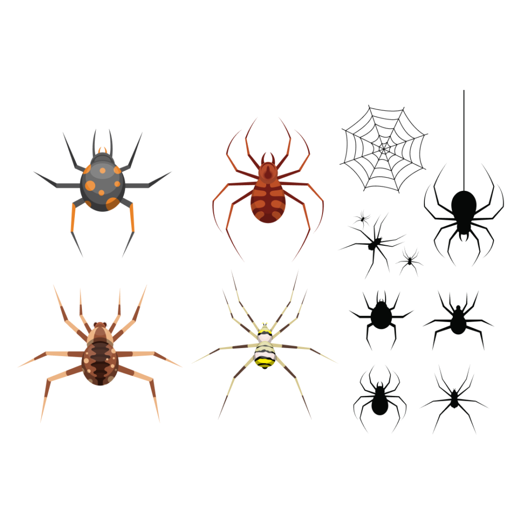 Free Spider SVG – MasterBundles