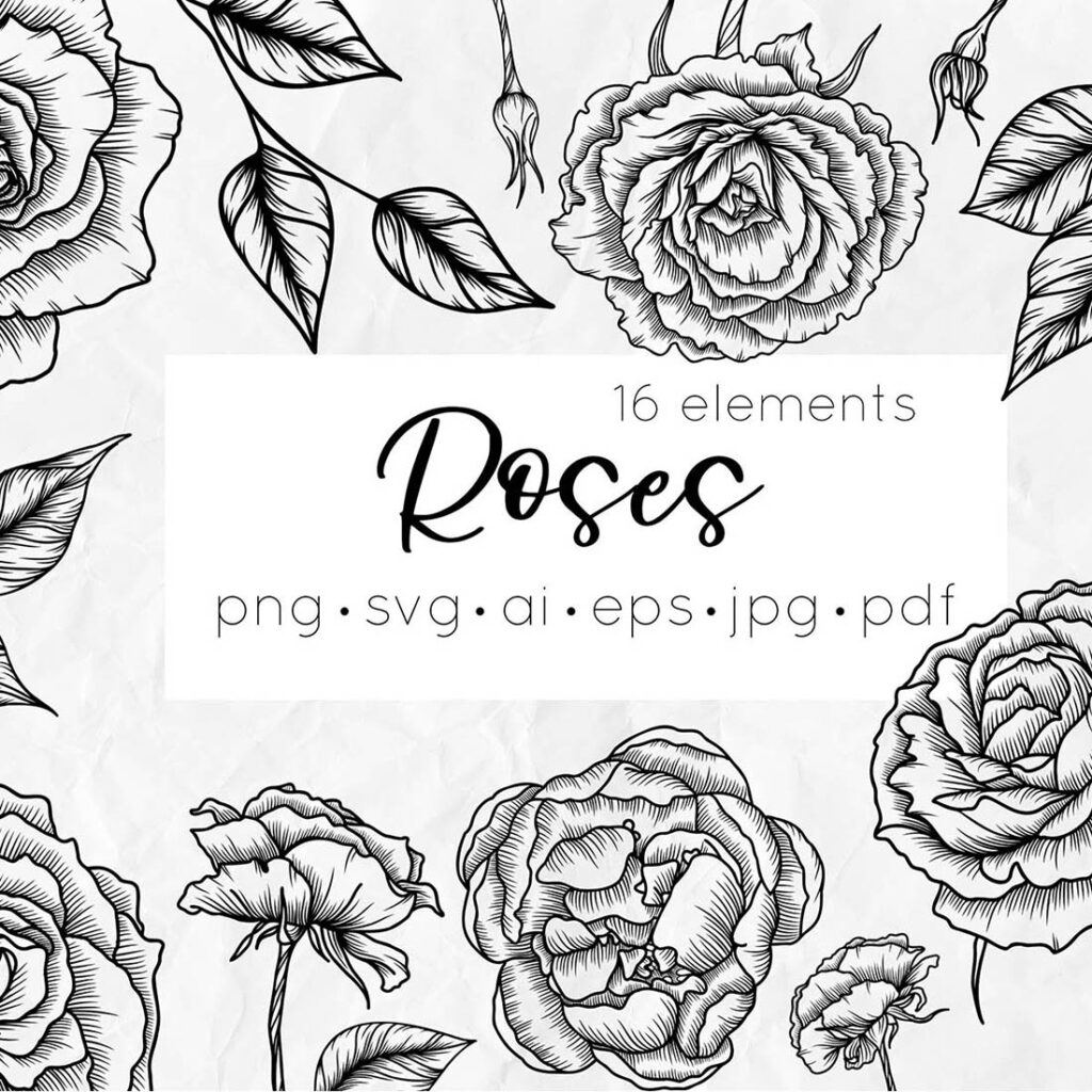 Roses Line Art Vector Flowesr - MasterBundles