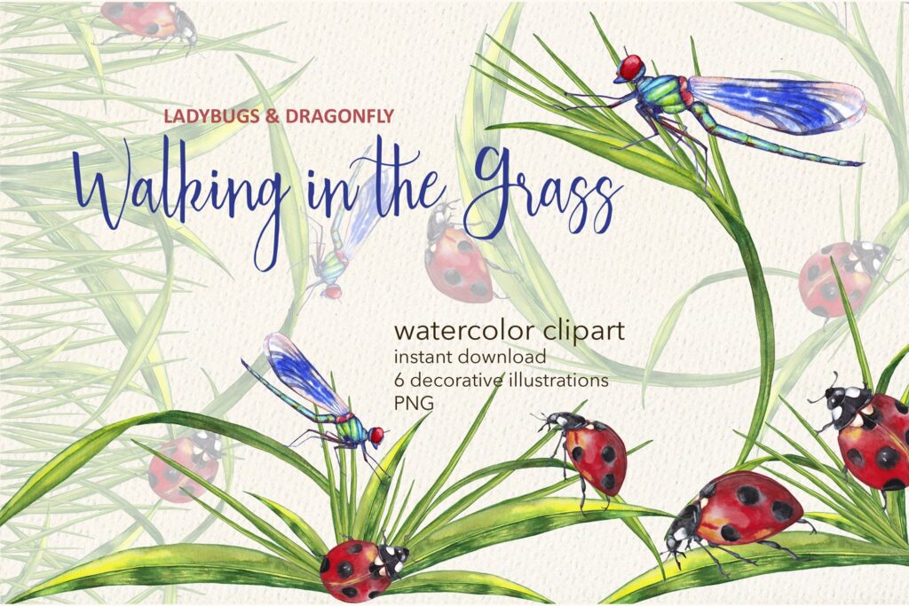 Ladybugs & Dragonfly Clipart Watercolor Sublimation Graphics – MasterBundles