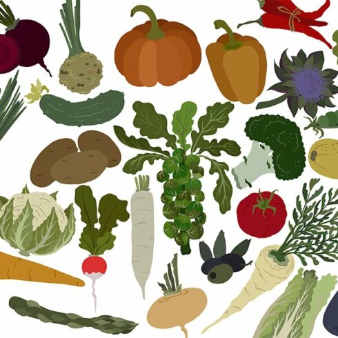 Vector Vegetables | MasterBundles