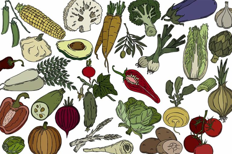 Vector Vegetables – MasterBundles