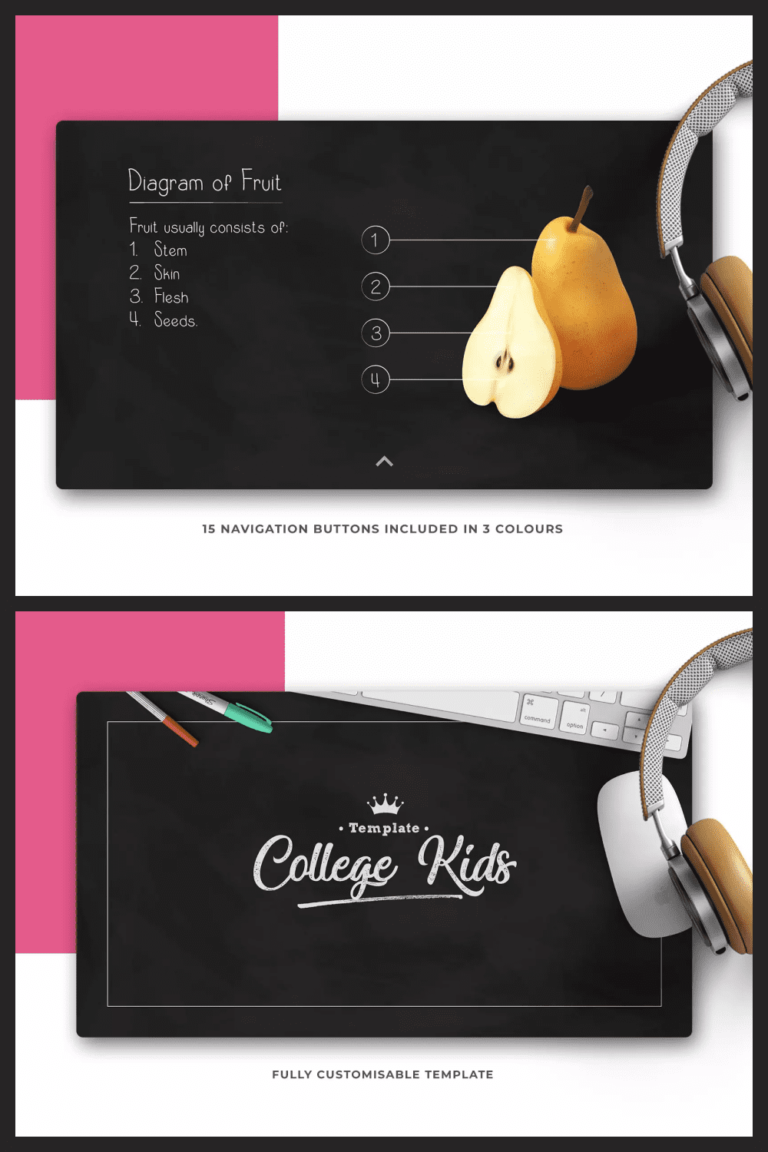 40+ Best Free and Premium PowerPoint Templates for School in 2022