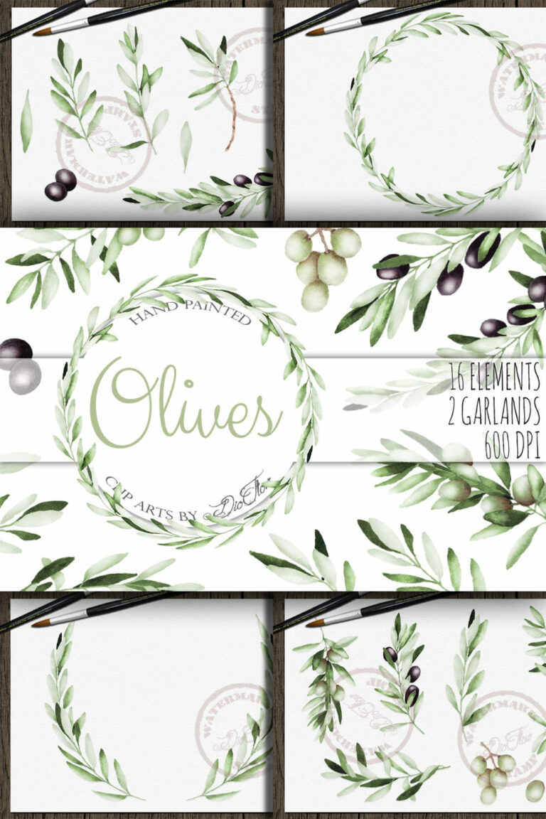 Olive Watercolor Clip Art – MasterBundles