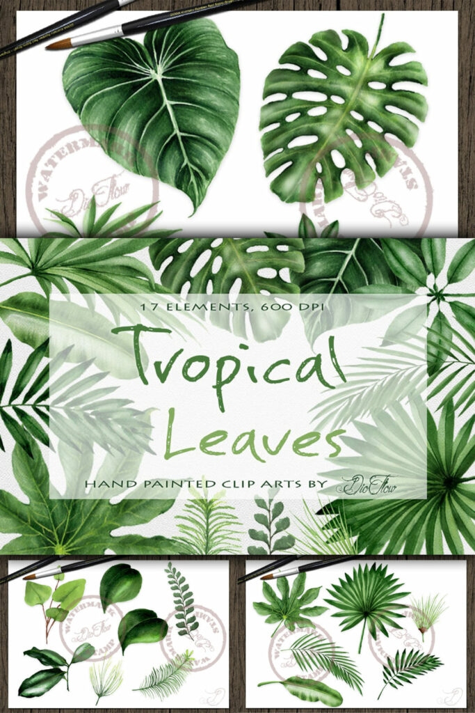 Tropical Leaves Watercolor Clip Art – MasterBundles