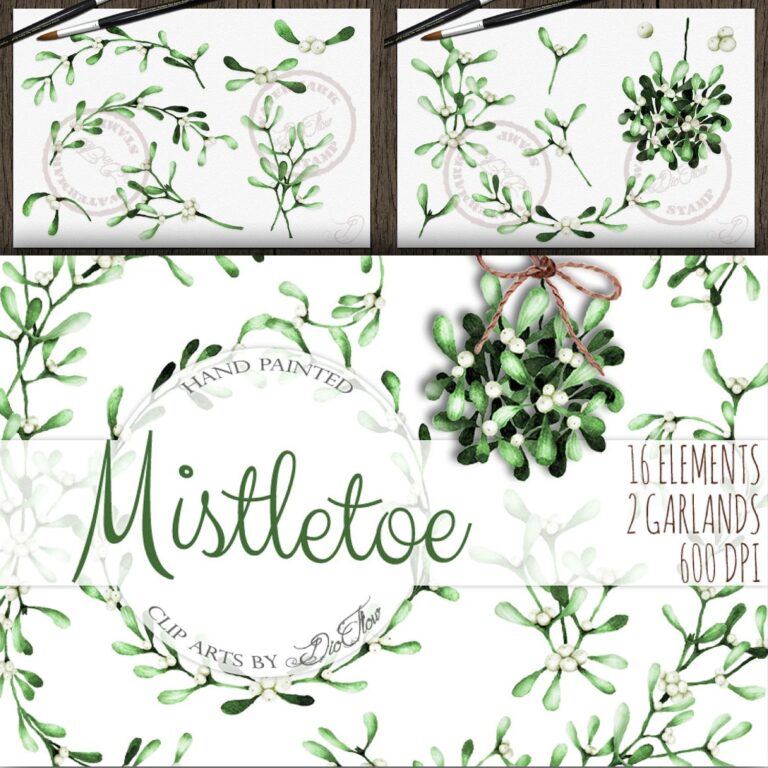 Mistletoe Watercolor Clip Art – MasterBundles