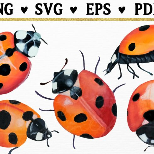 Ladybug Watercolor Clipart SVG | Master Bundles