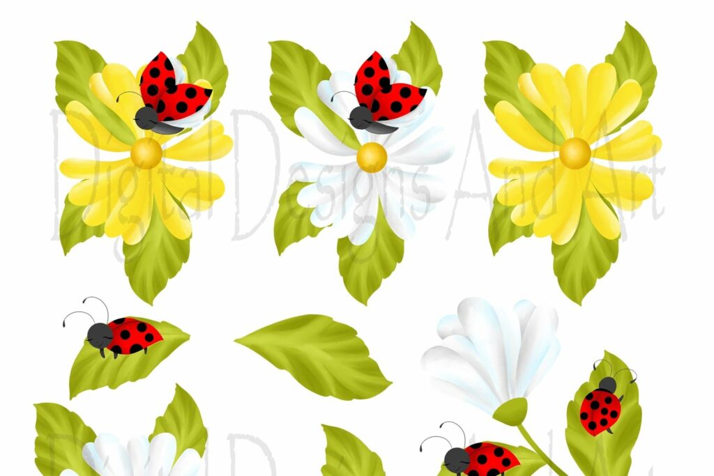 Ladybug Clipart – MasterBundles