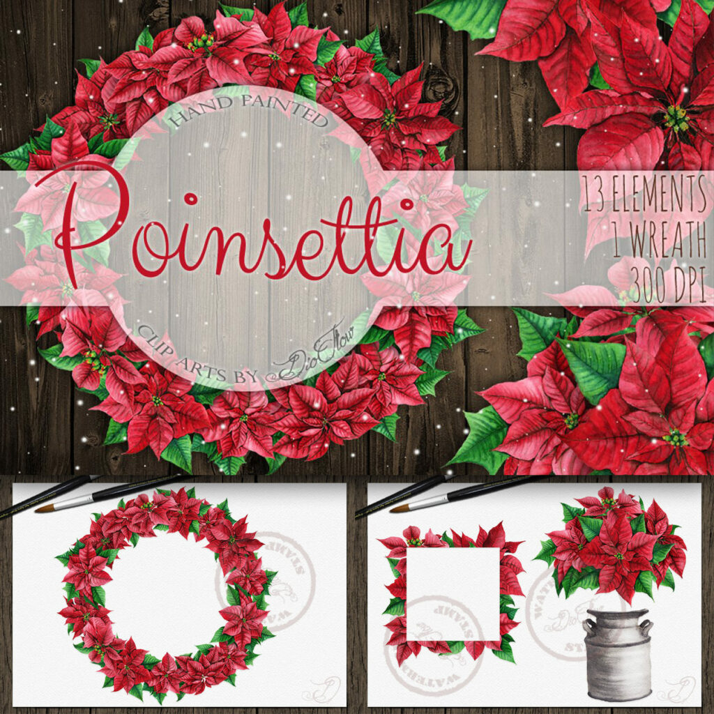 Poinsettia Watercolor Clip Art – MasterBundles