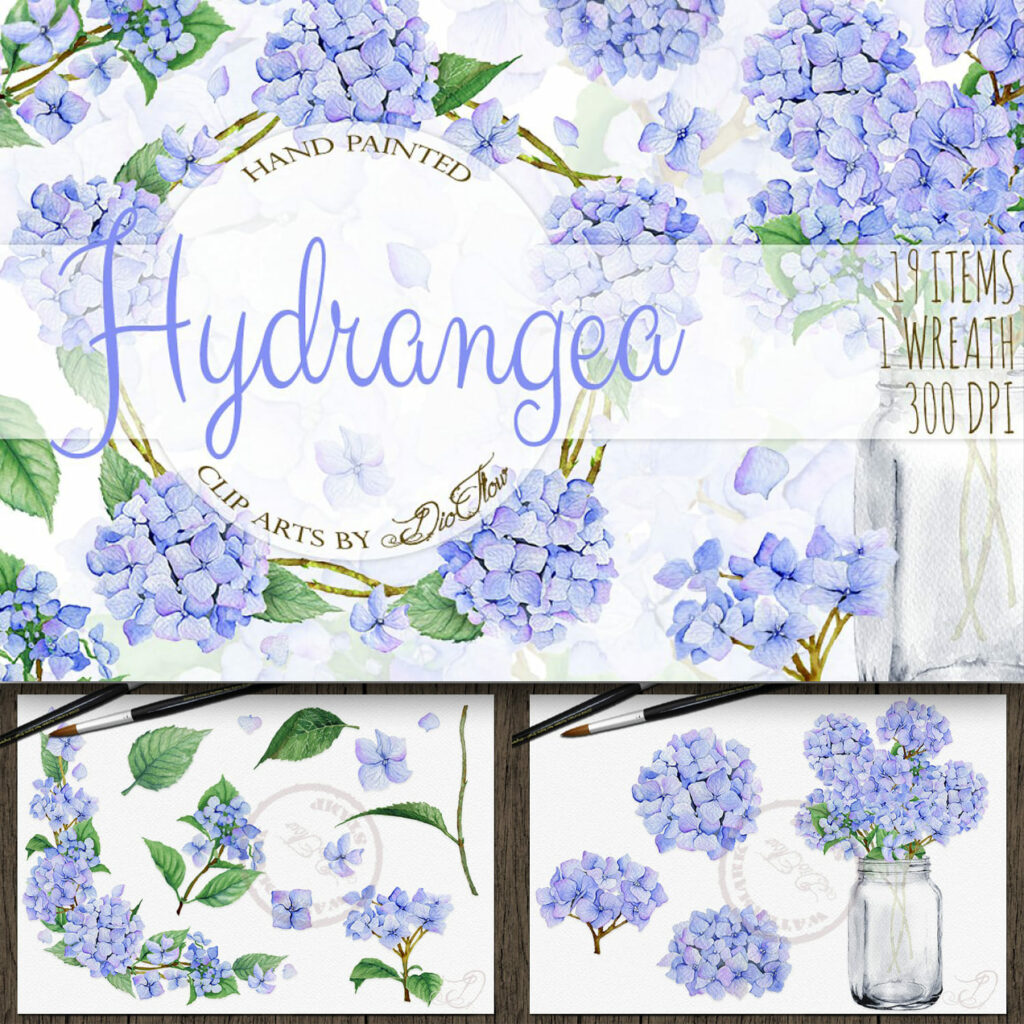 Hydrangea Watercolor Clip Art – MasterBundles
