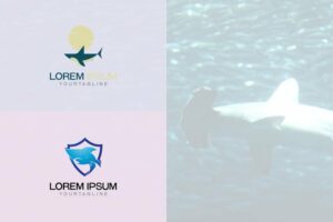 8 Shark Logo Template Set | Master Bundles