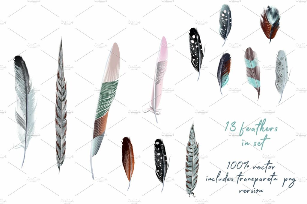 Bohemian Mood Vector Feathers Set – MasterBundles