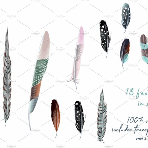 Bohemian Mood Vector Feathers Set | Master Bundles