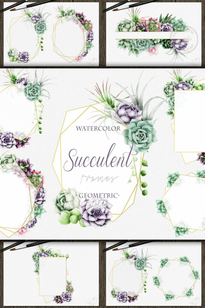 Succulent Geometric Frames Clip Art – MasterBundles