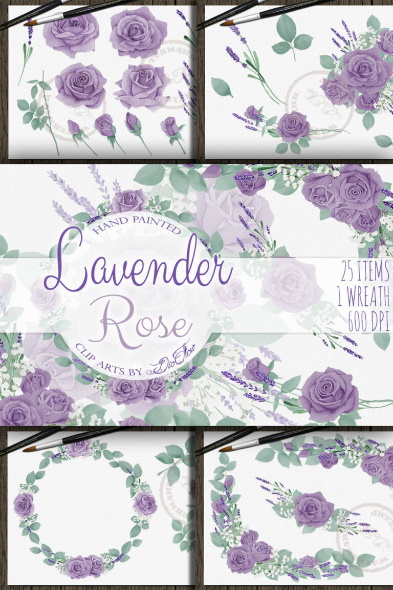 Lavender Rose Illustration – MasterBundles