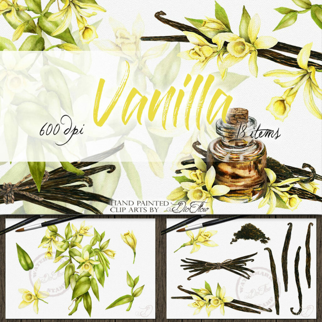 Vanilla Watercolor Illustration – MasterBundles