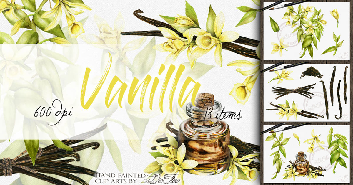 Vanilla Watercolor Illustration – MasterBundles