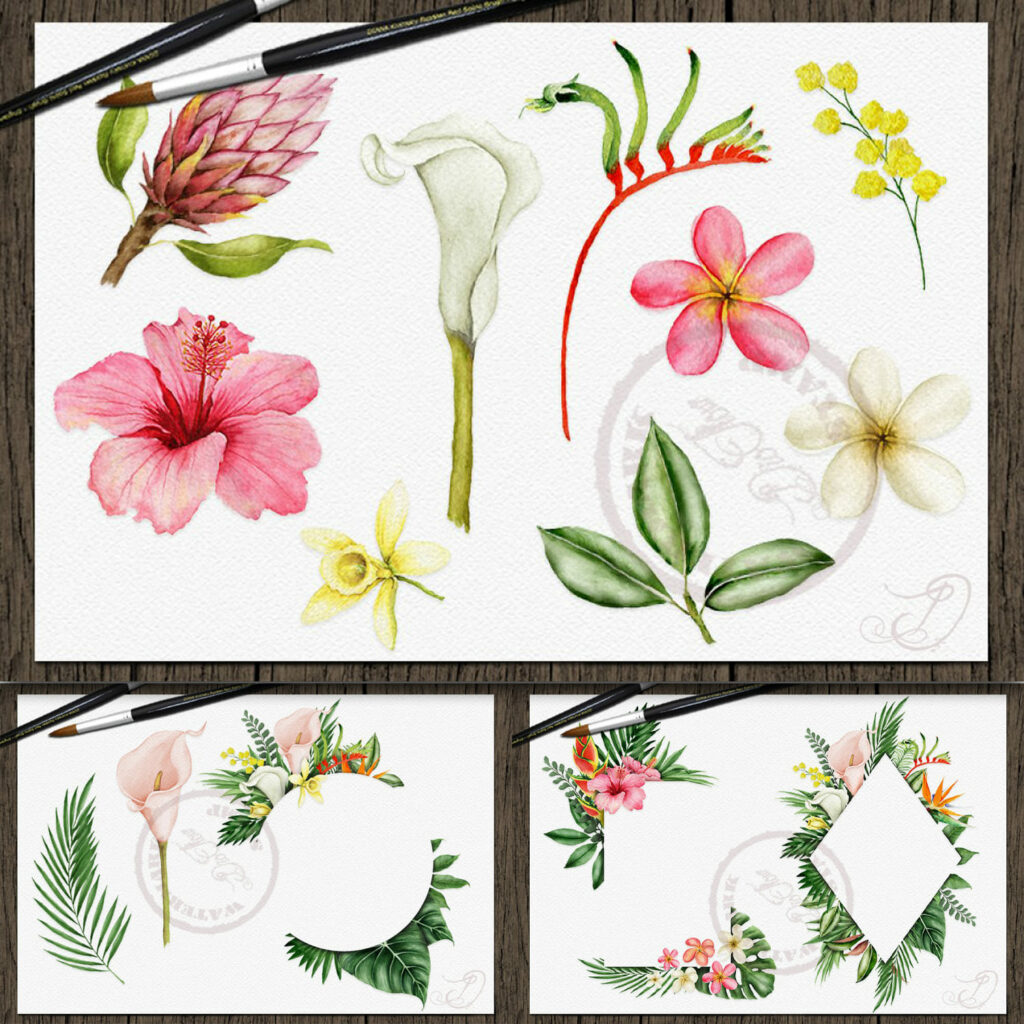 Tropical Frames Illustration – MasterBundles