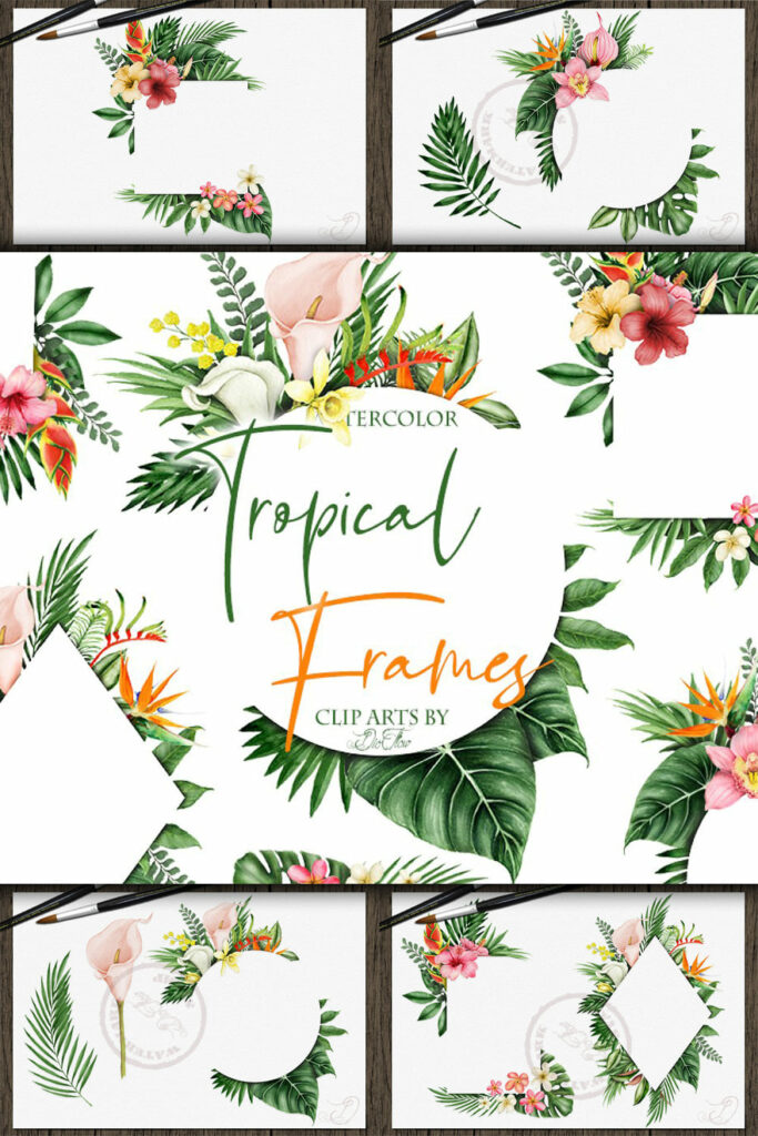 Tropical Frames Illustration – MasterBundles