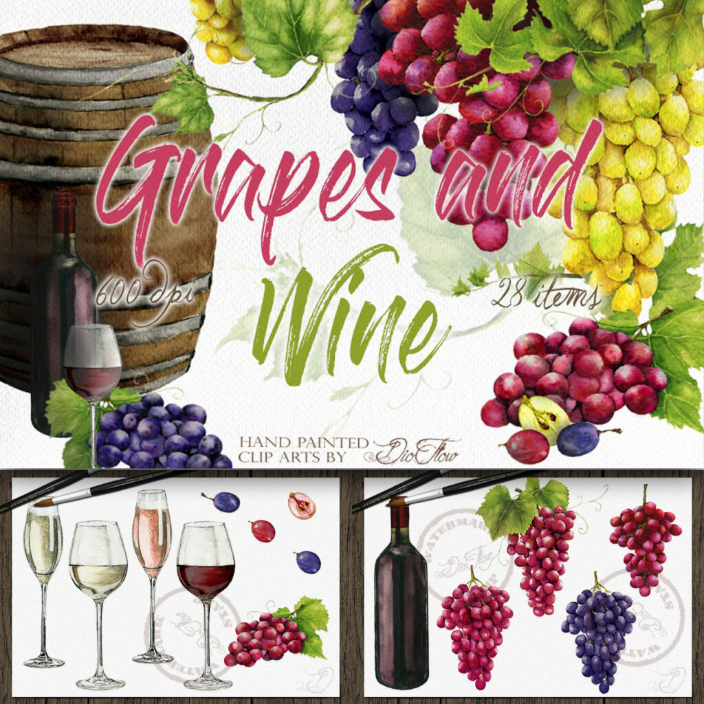 Grapes And Wine Illustration – MasterBundles
