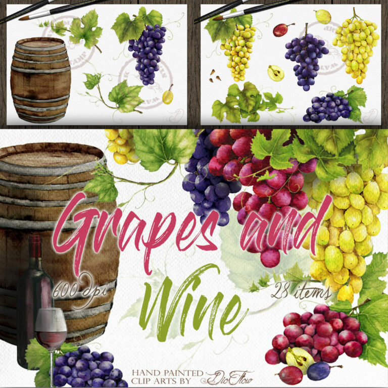 Grapes And Wine Illustration – MasterBundles
