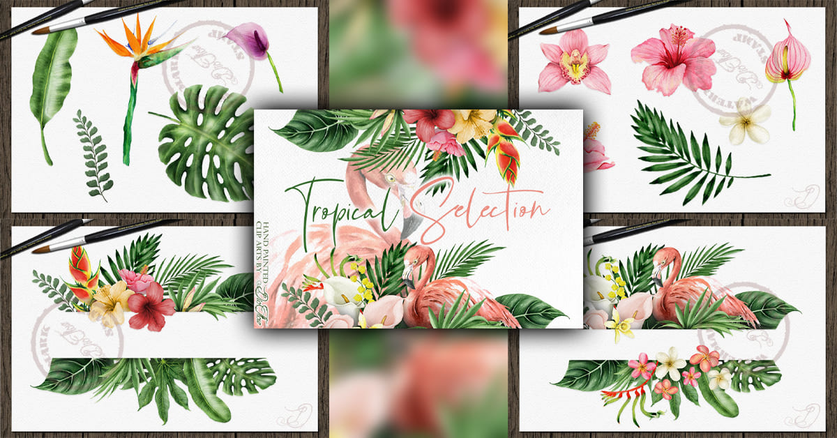Tropical Selection Watercolor – MasterBundles