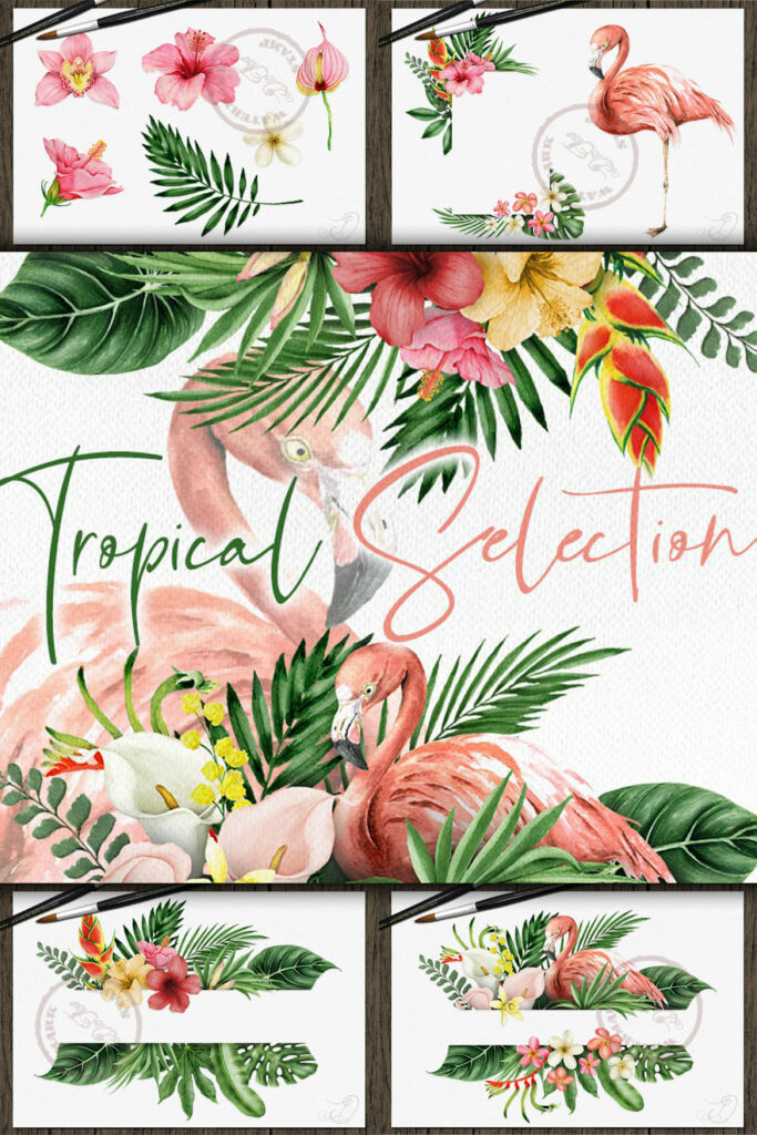 Tropical Selection Watercolor – MasterBundles