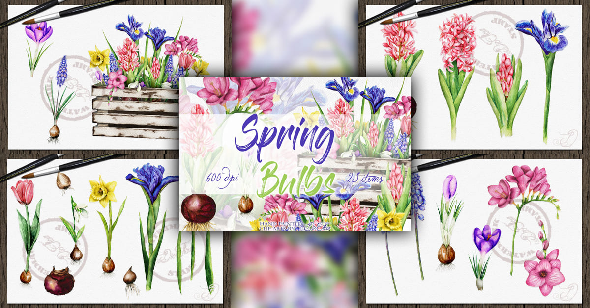 Spring Bulbs Illustration – MasterBundles