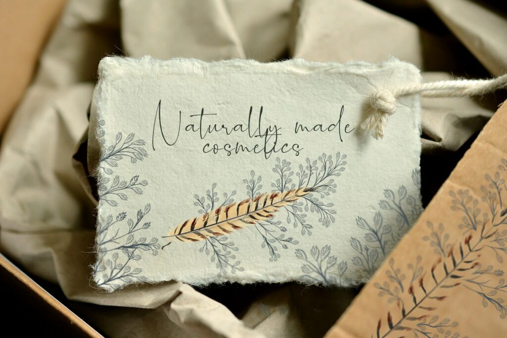 Bohemian Mood Vector Feathers Set – MasterBundles