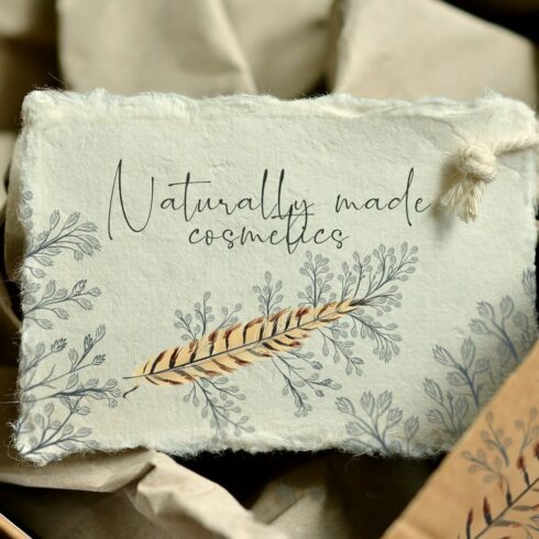 Bohemian Mood Vector Feathers Set | MasterBundles