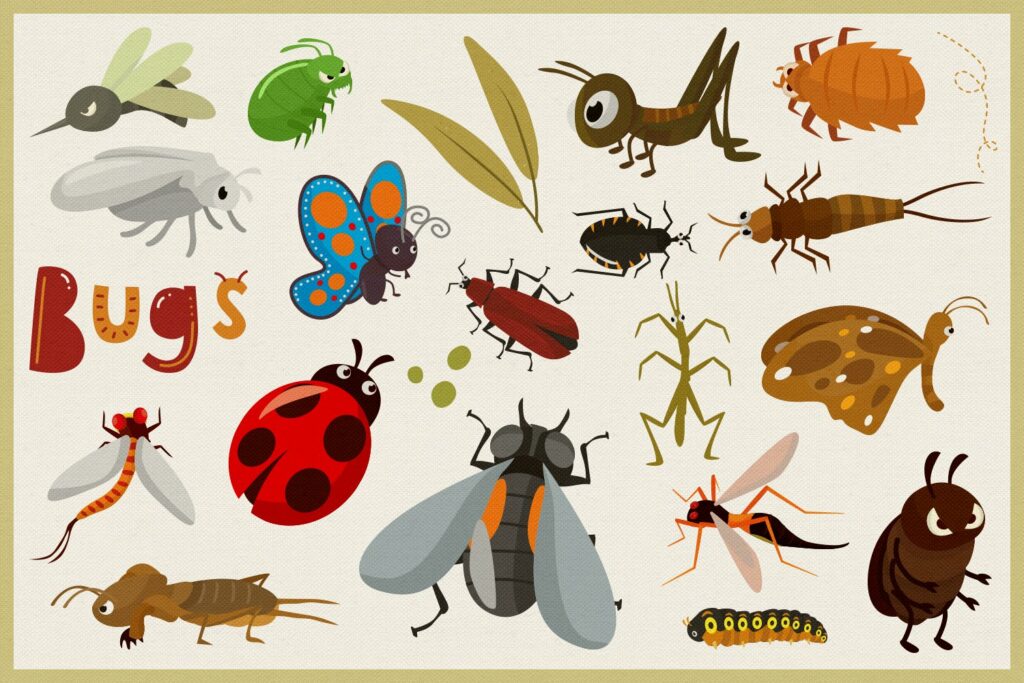Insects and Bugs Vector Clipart & Seamless Patterns – MasterBundles