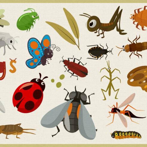 Insects and Bugs Vector Clipart & Seamless Patterns | MasterBundles
