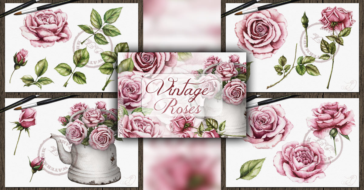 Vintage Roses Illustration – MasterBundles