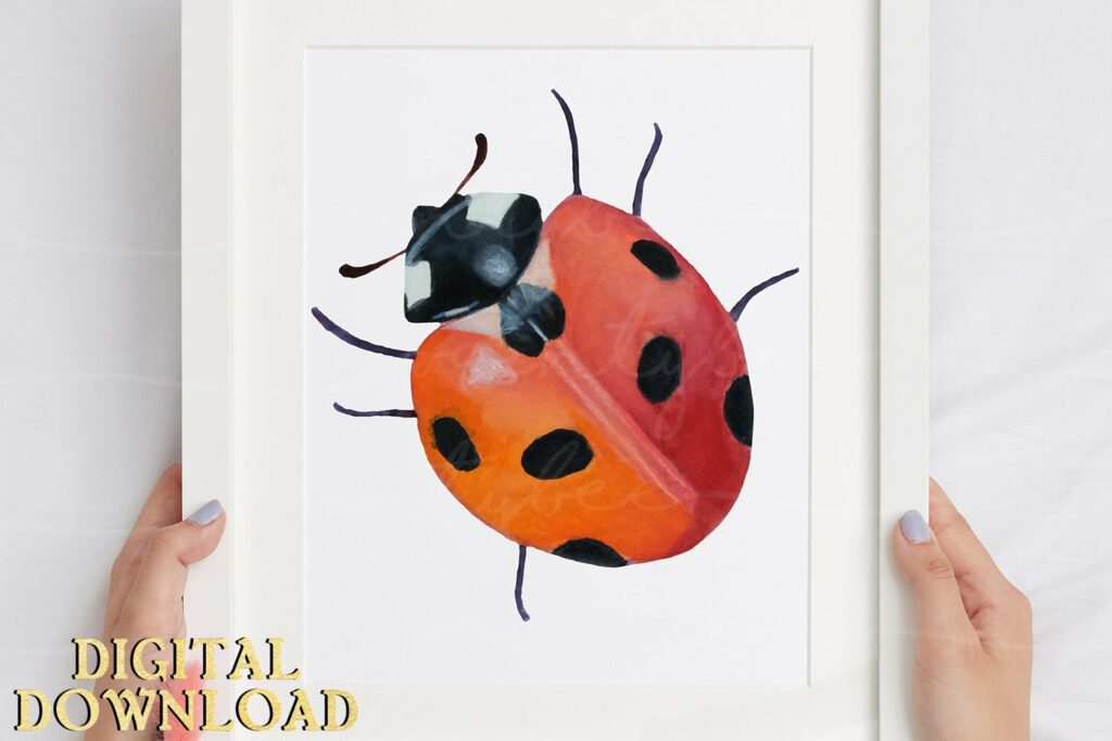 Ladybug Watercolor Clipart SVG - MasterBundles