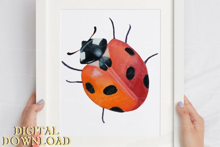 Ladybug Watercolor Clipart SVG - MasterBundles