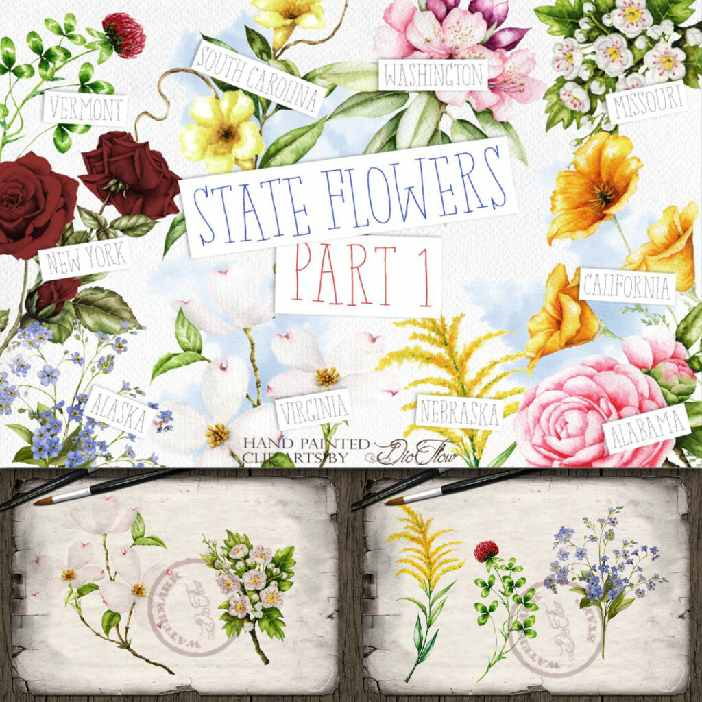 US State Flowers Part 1 Illustration – MasterBundles
