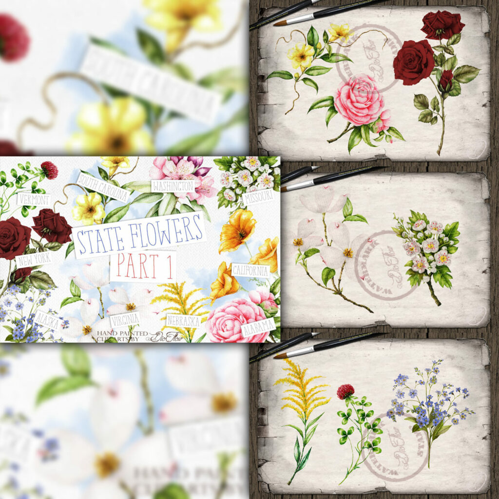 US State Flowers Part 1 Illustration – MasterBundles