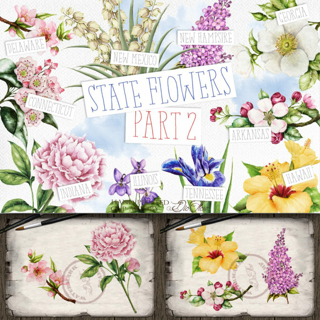 US State Flowers Part 2 Illustration – MasterBundles