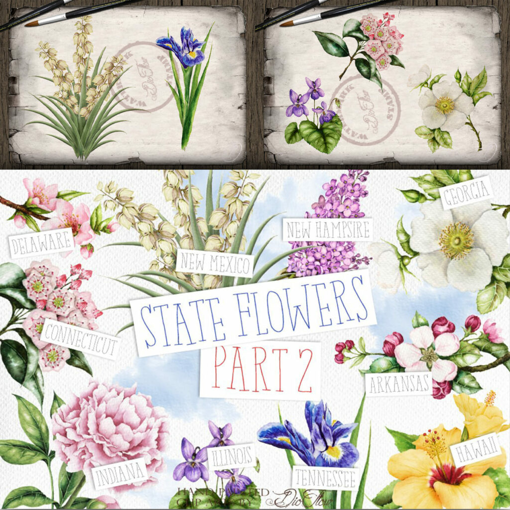 US State Flowers Part 2 Illustration – MasterBundles