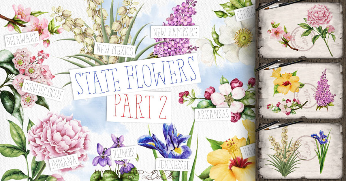 US State Flowers Part 2 Illustration – MasterBundles