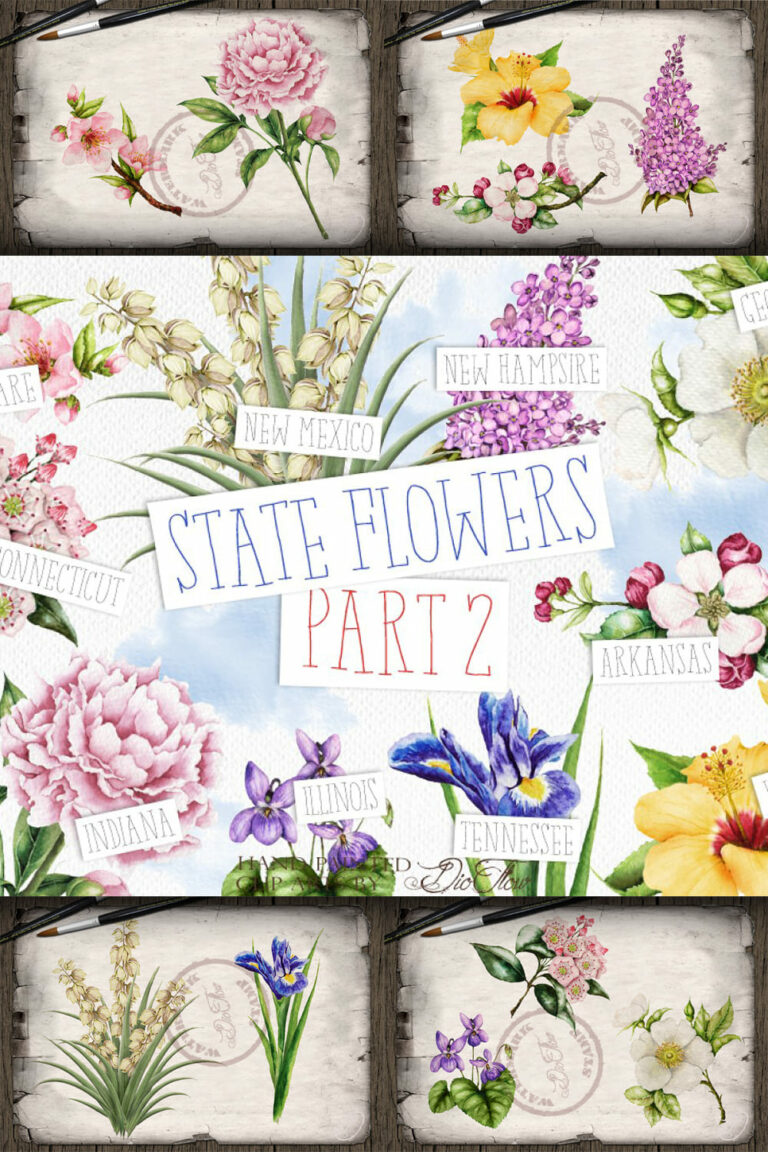 US State Flowers Part 2 Illustration – MasterBundles