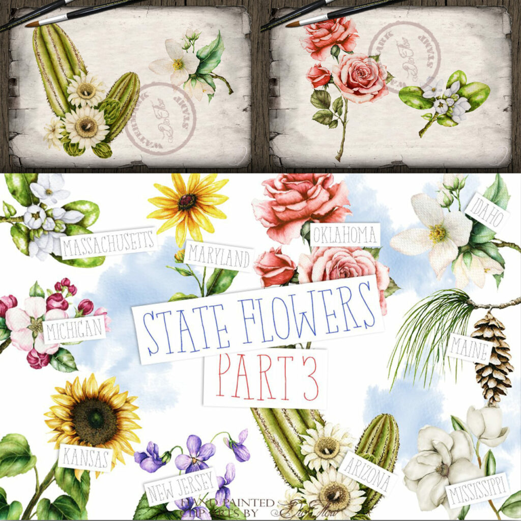 US State Flowers Part 3 Illustration – MasterBundles